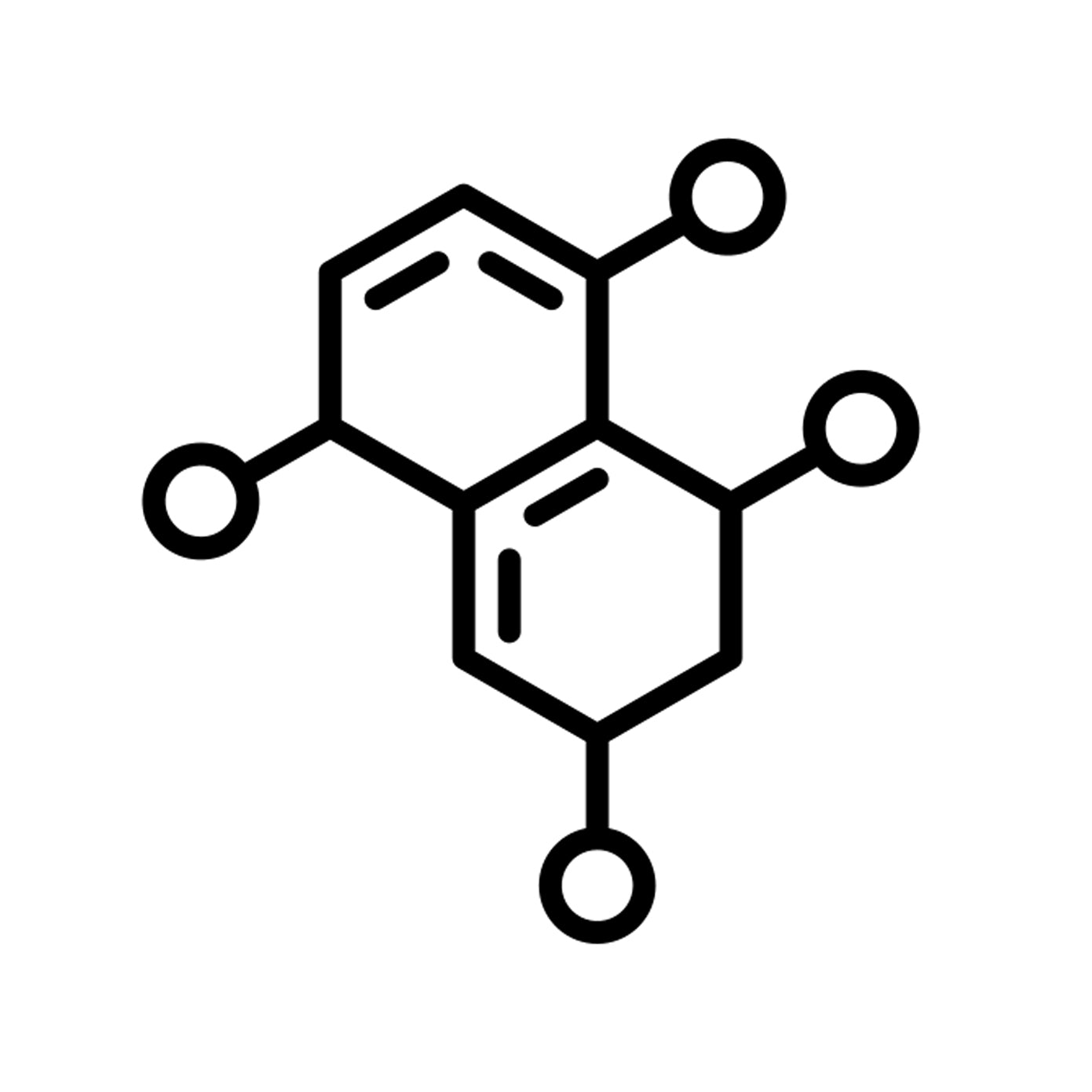 Bio-polymer Material – Soli Workshop